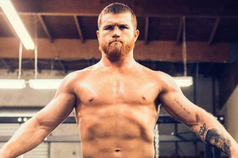 Canelo Alvarez could fight in seven weight classes, including ...