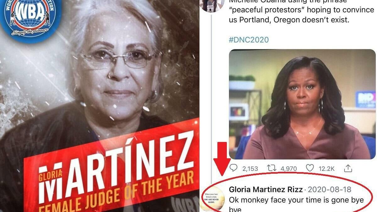 "I was never going to win!" World Boxing Association judge in racism ...