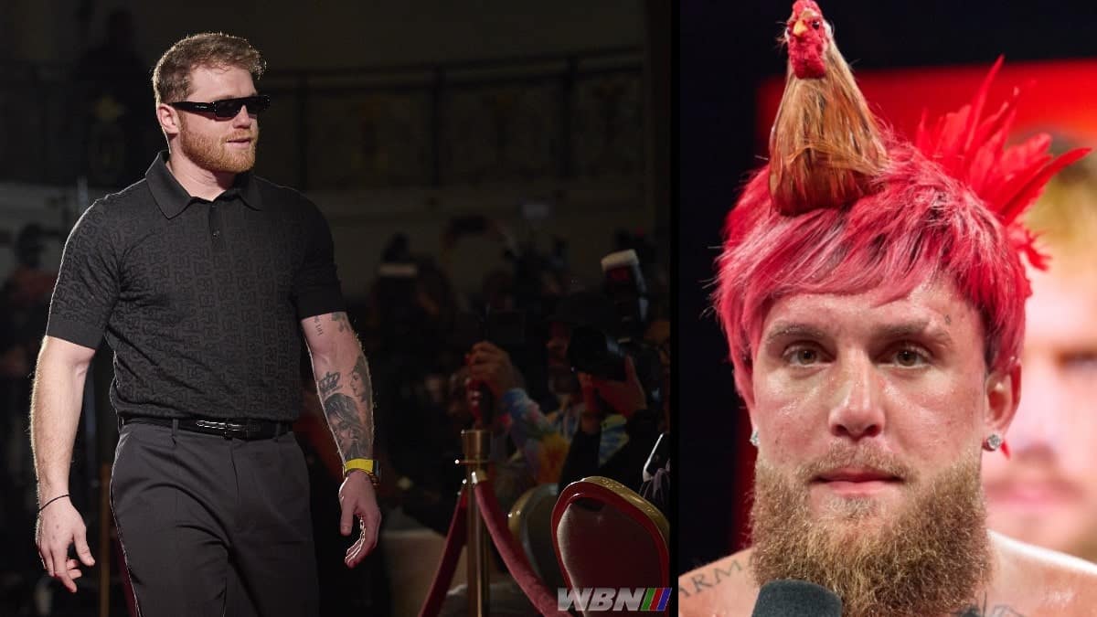 Canelo Alvarez vs Jake Paul 'insanity' labeled 'ritual slaughter ...