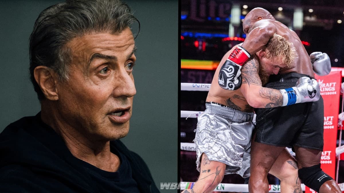 Sylvester Stallone bullied, trolled and degraded in Mike Tyson row ...