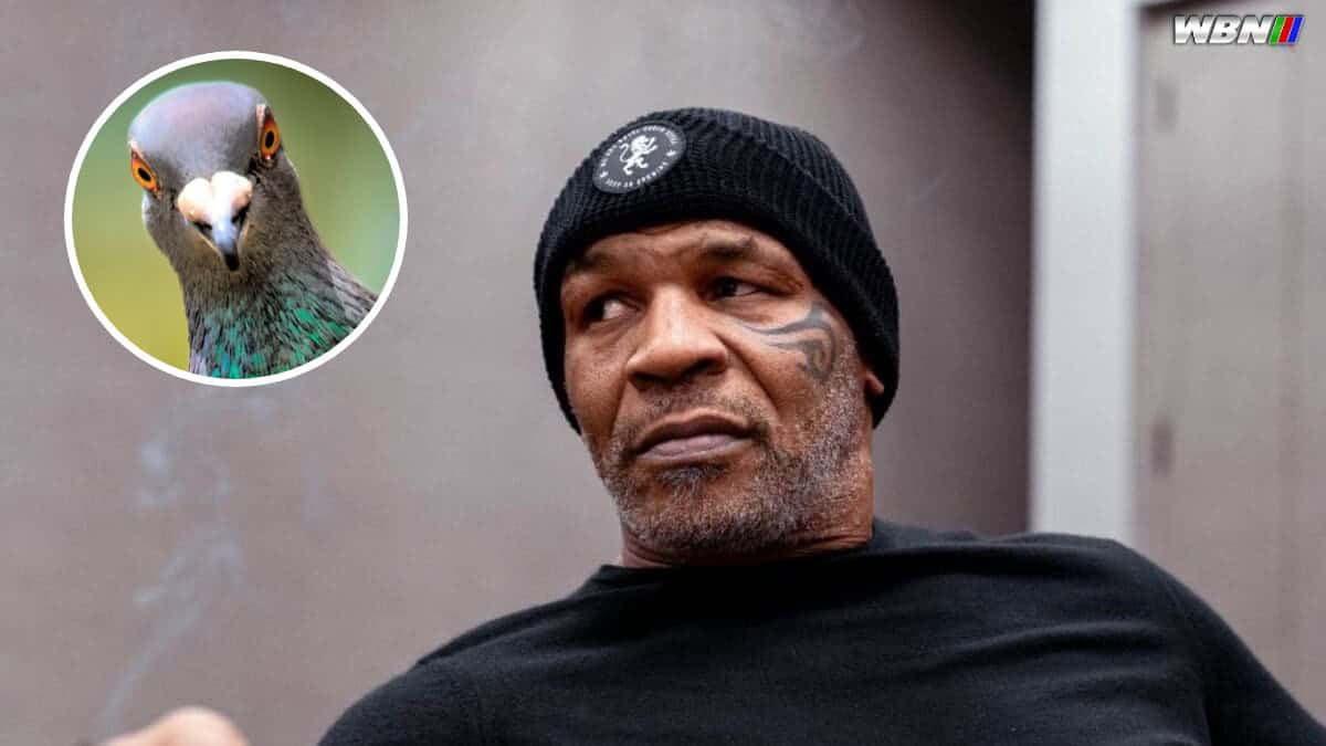 Mike Tyson dished out 'pigeon justice' KO on garbage man