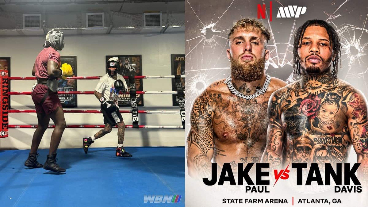 Gervonta Davis News, Record and Biography - World Boxing News