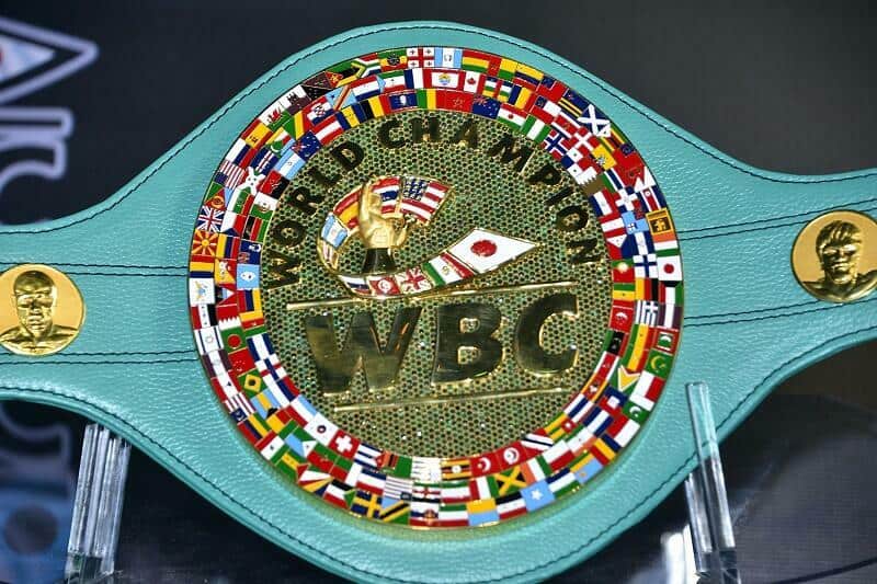 Exclusive: Three more fighters on board for WBC 154 Tournament - World ...
