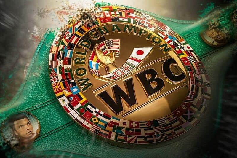 World Boxing Council #1 contenders (Aug 2020): Welter to Heavy - World ...